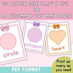 Coquette 2D Shapes Poster Set: Pastel Classroom Math Decor (PDF ...