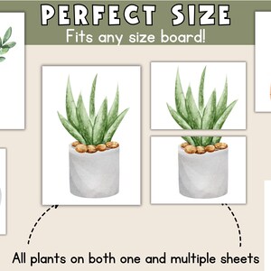 Botanical Bulletin Board | Plants Classroom Decor | New Year Bulletin ...