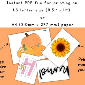 Fall Bulletin Board Kit | Pumpkin Patch Bulletin Board | Sunflower ...