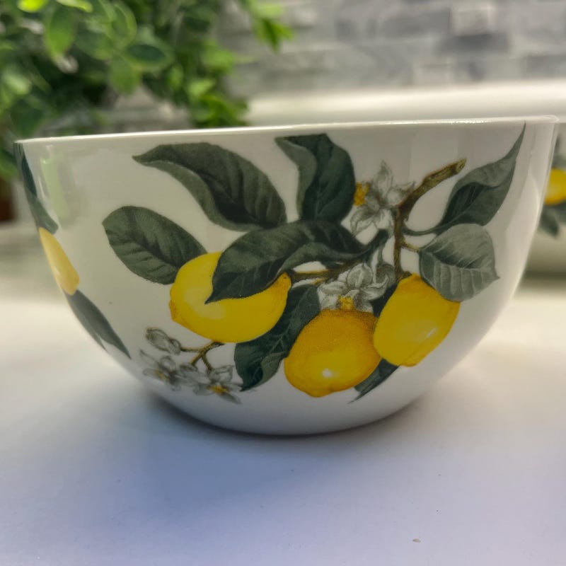 Lemon Dinnerware Sets - Etsy