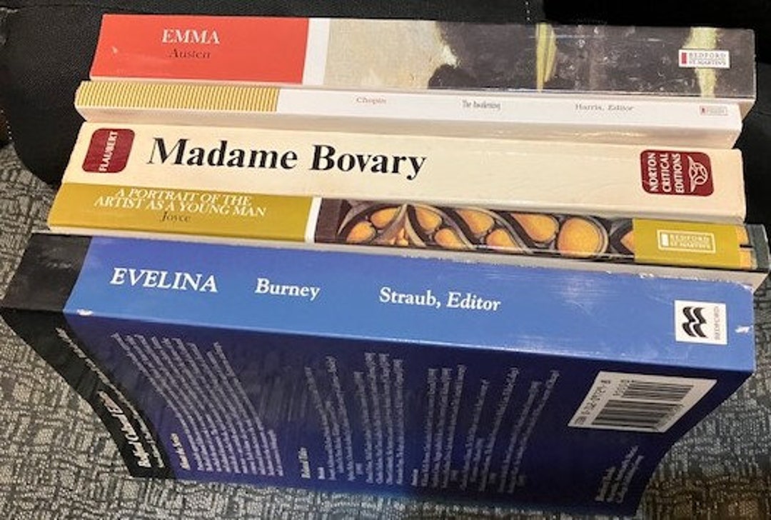 Six Student Study Reference Guides to Famous Literature - Etsy