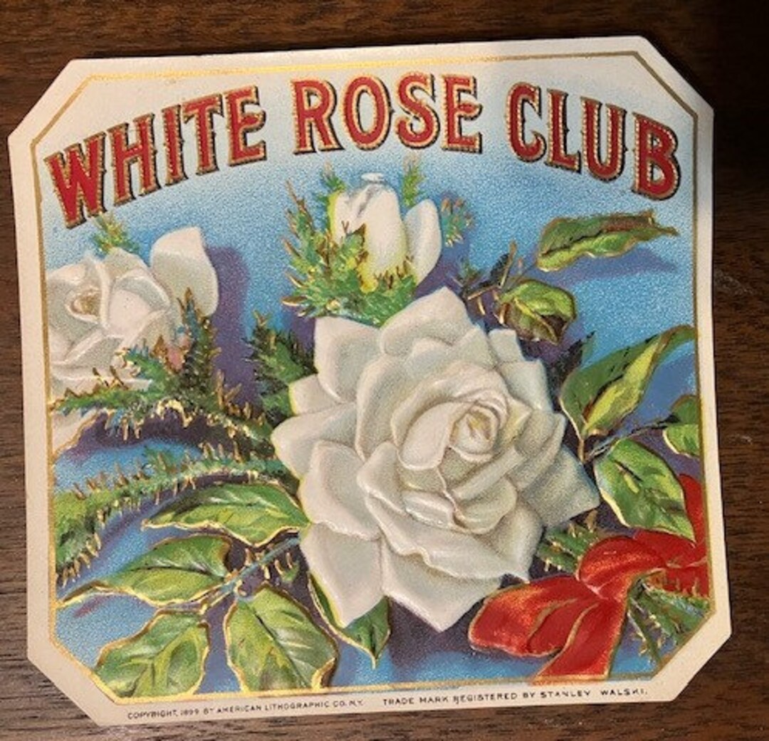 Rare WHITE Rose Club--one of the Most Beautiful Examples of Cigar Label ...