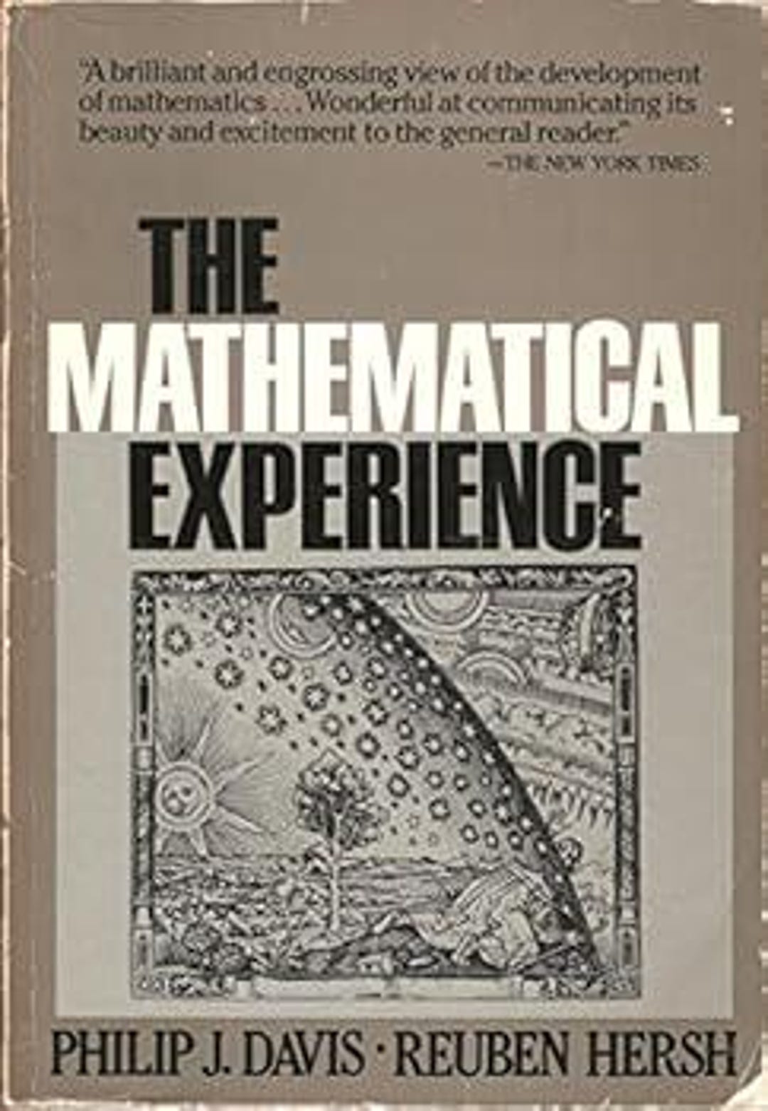 The Mathematical Experience, Davis and Hersh, Houghton Mifflin 1981, First Printing Paper - Etsy