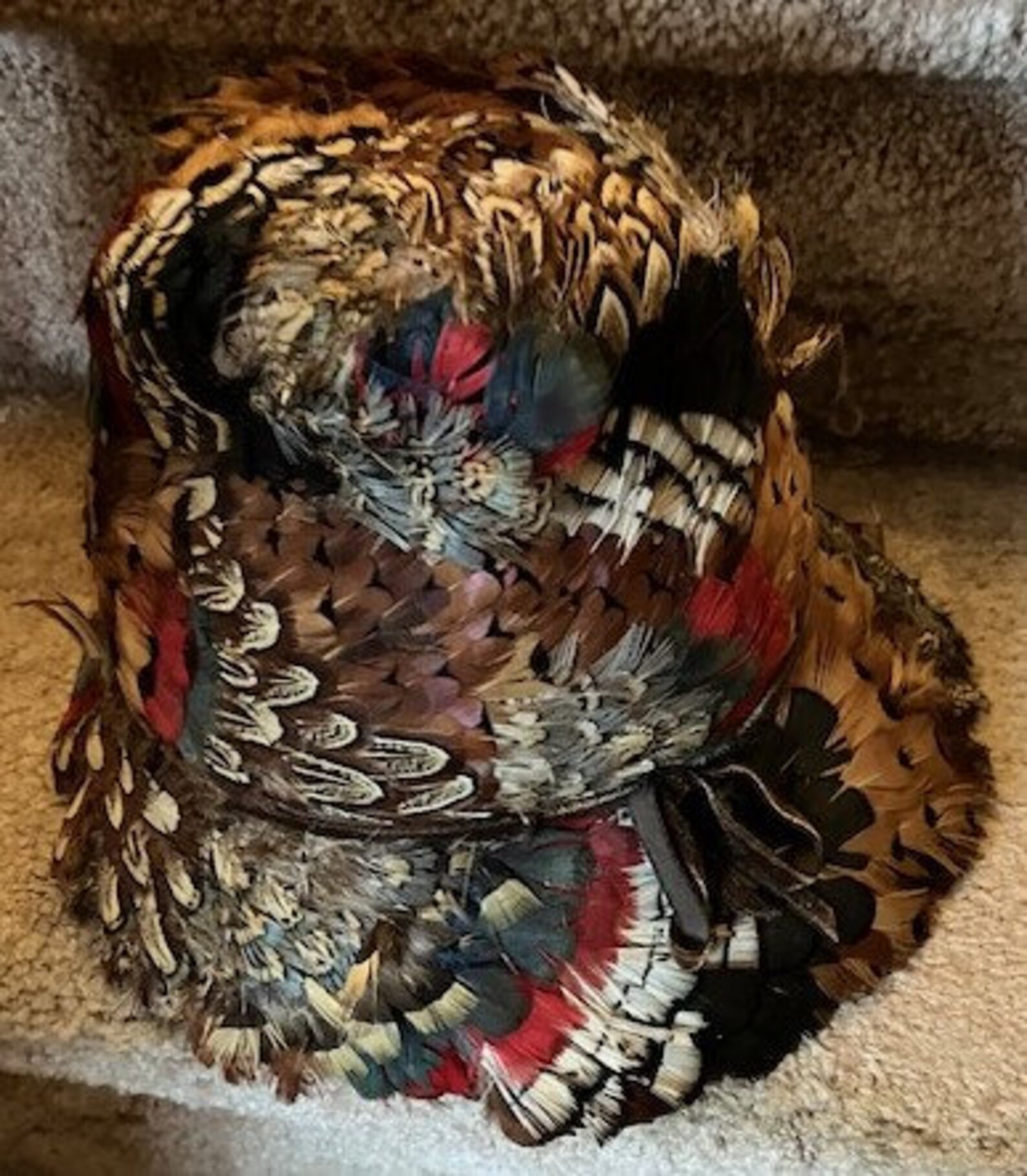 Flamboyant Women's or Costume Feather Hat, Circa 1950s - Etsy