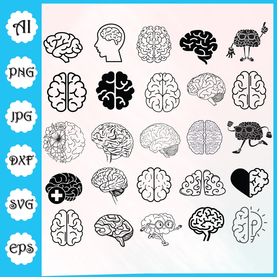 Brain Bundle SVG \ Brain Cut File \ Human Brain Svg \ Brain SVG \ Brain ...