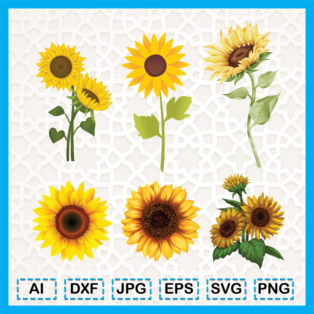 Sunflower Svg Bundle \ Sunflower Svg / Sunflower Cut Files / Sunflower ...