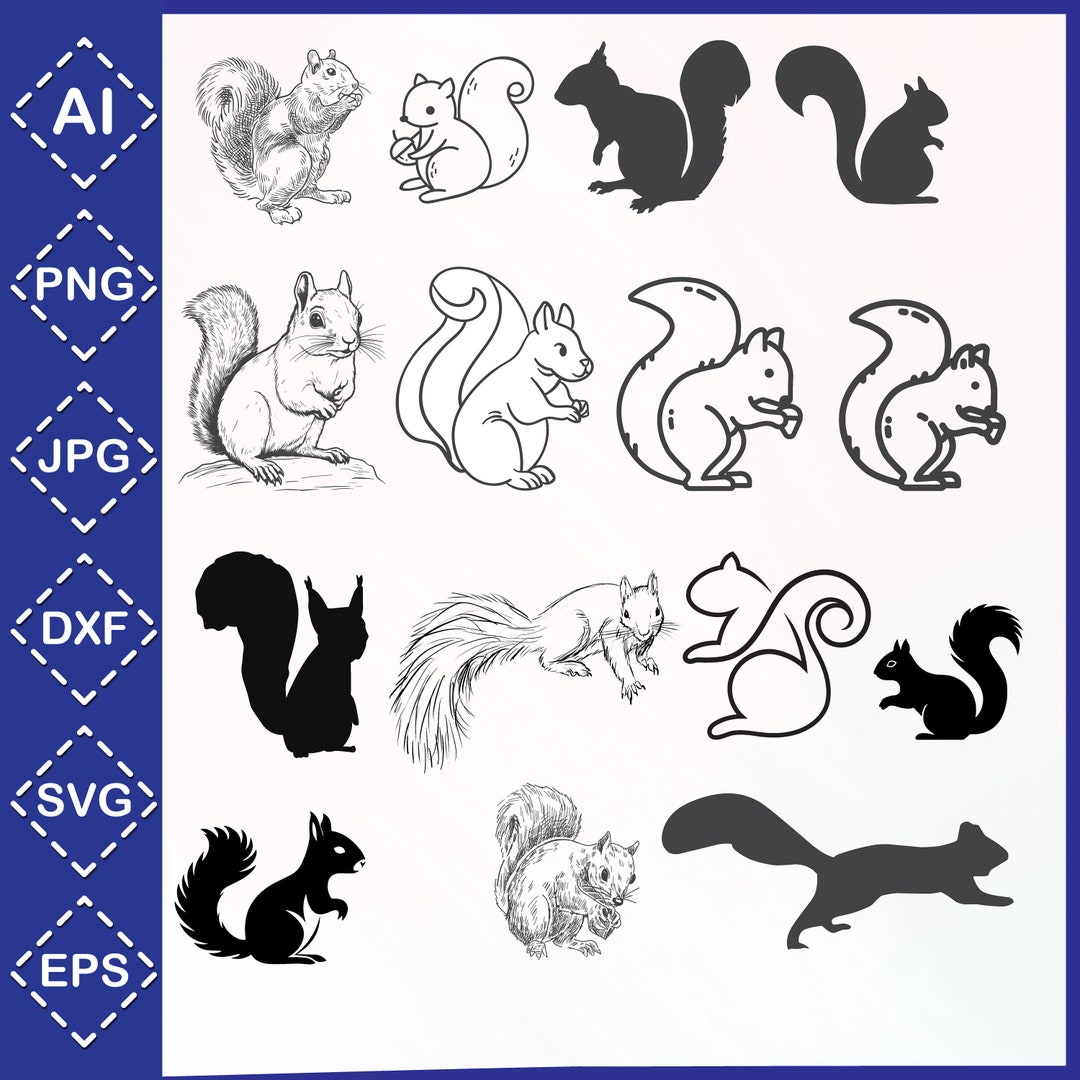 Squirrel SVG Bundle \ Squirrel SVG \ Squirrel Cut File \ Squirrel ...