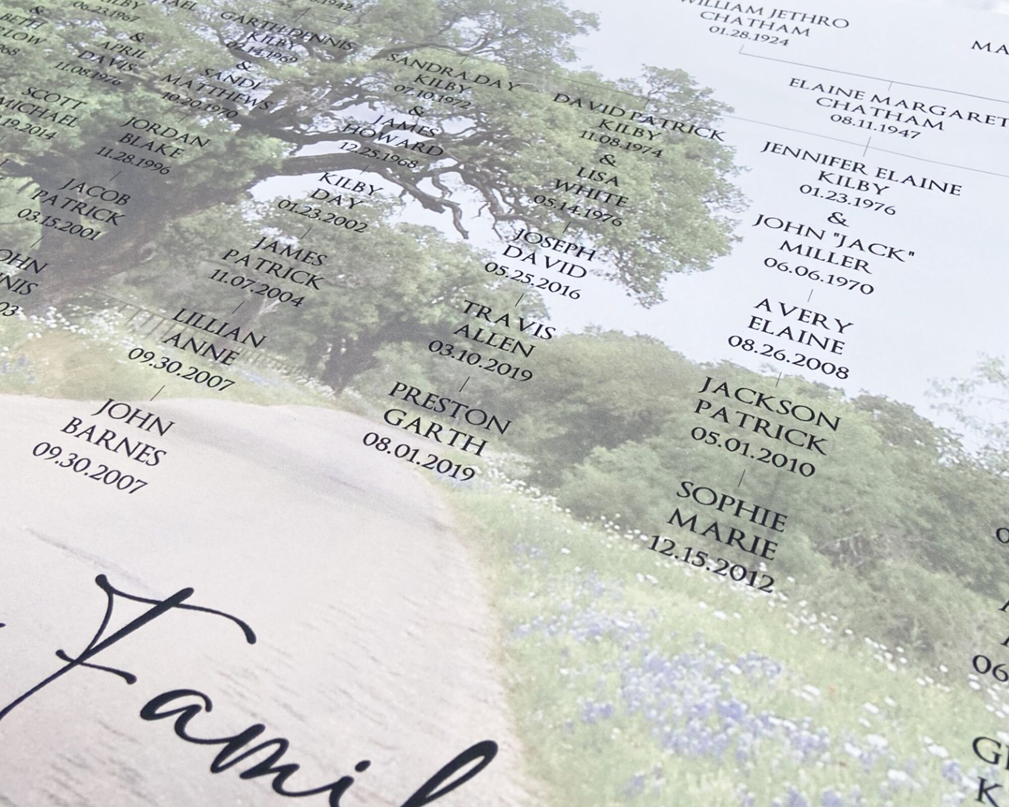 Personalized Family Tree: Country Road, Family History on Display ...