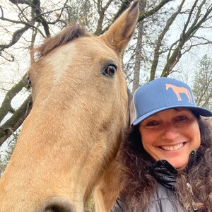 Horse Trucker Snapback Hat, Chestnut/navy/silver, Hand Drawn Design ...