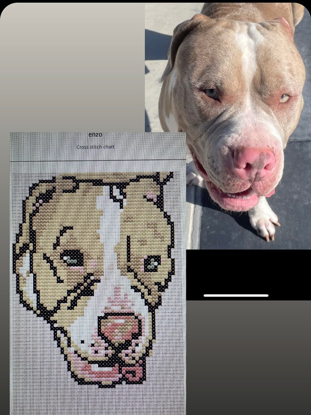 Embroidery/crochet Custom Graph Cartoon Animal Pattern - Etsy