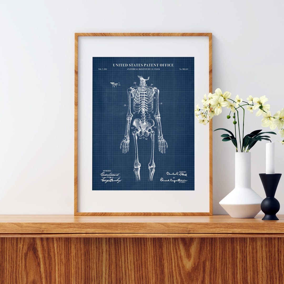 Anatomical Skeleton Patent Wall Art - Blueprint - Etsy