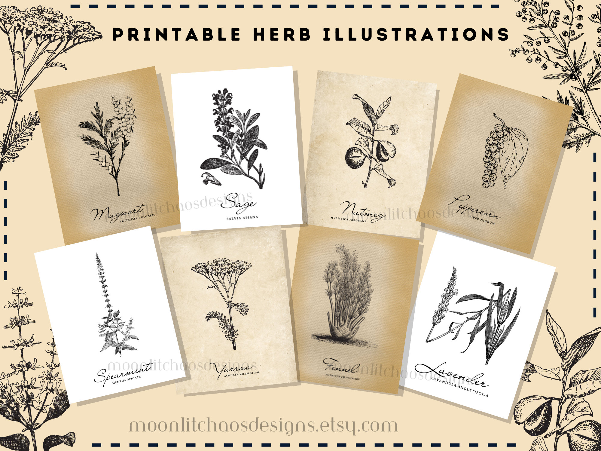 Herb Printables Kit 30 Informative Herbal Grimoire Pages, 30 Herbal ...