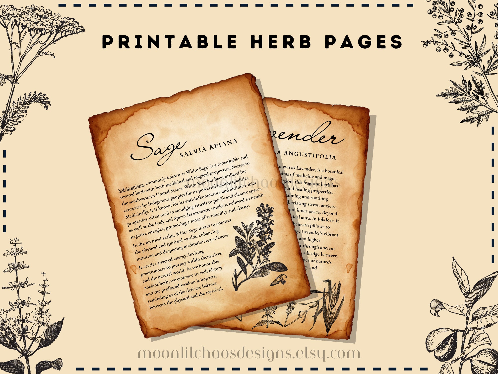 Printable Herb Pages - 30 Herbal Grimoire Sheets, Magical Herbs, and ...