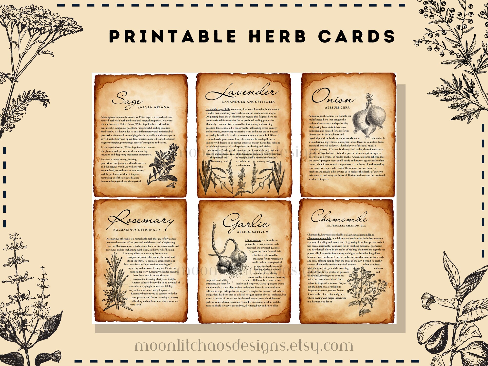 Herb Printables Kit 30 Informative Herbal Grimoire Pages, 30 Herbal ...