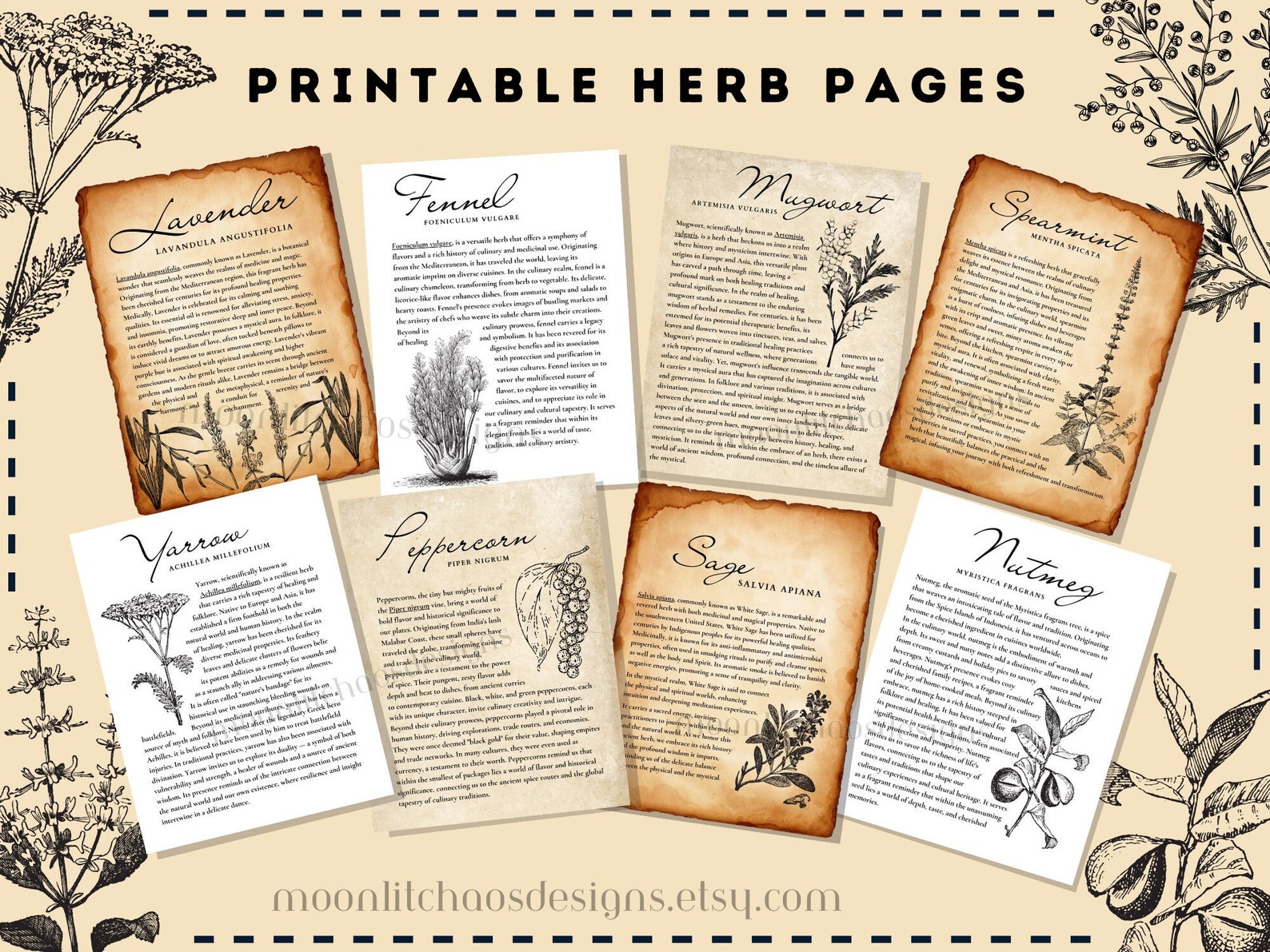 Printable Herb Pages - 30 Herbal Grimoire Sheets, Magical Herbs, and ...