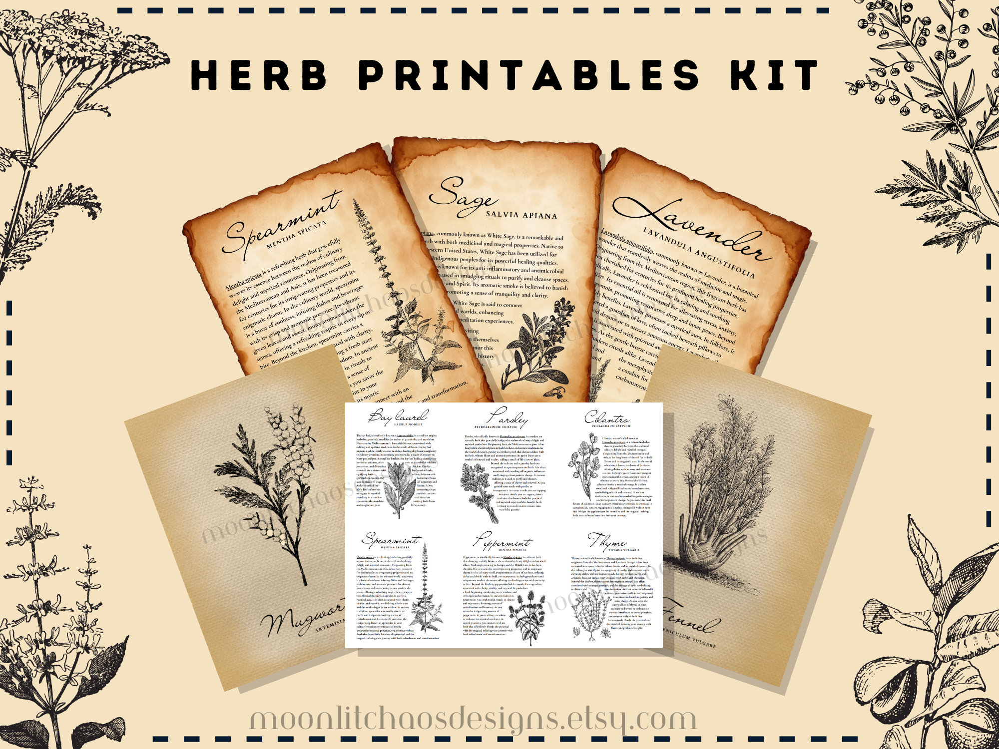 Herb Printables Kit 30 Informative Herbal Grimoire Pages, 30 Herbal ...