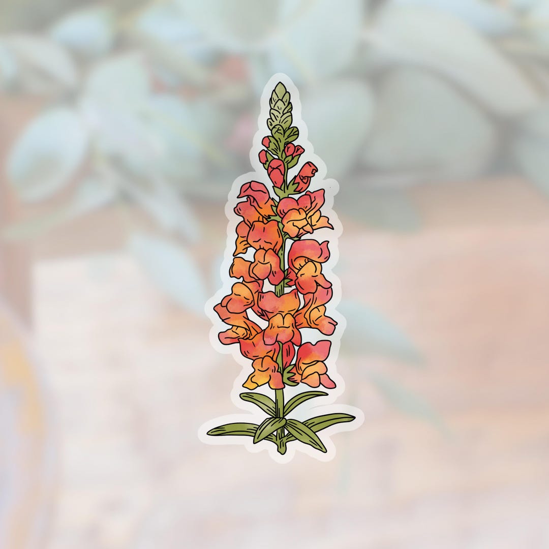 Snapdragon Transparent Vinyl Water Bottle Sticker - Etsy