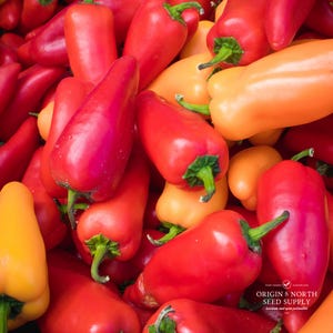 originandnorth - Etsy