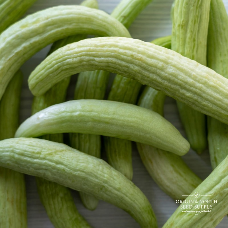 originandnorth - Etsy