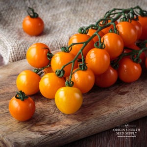 originandnorth - Etsy