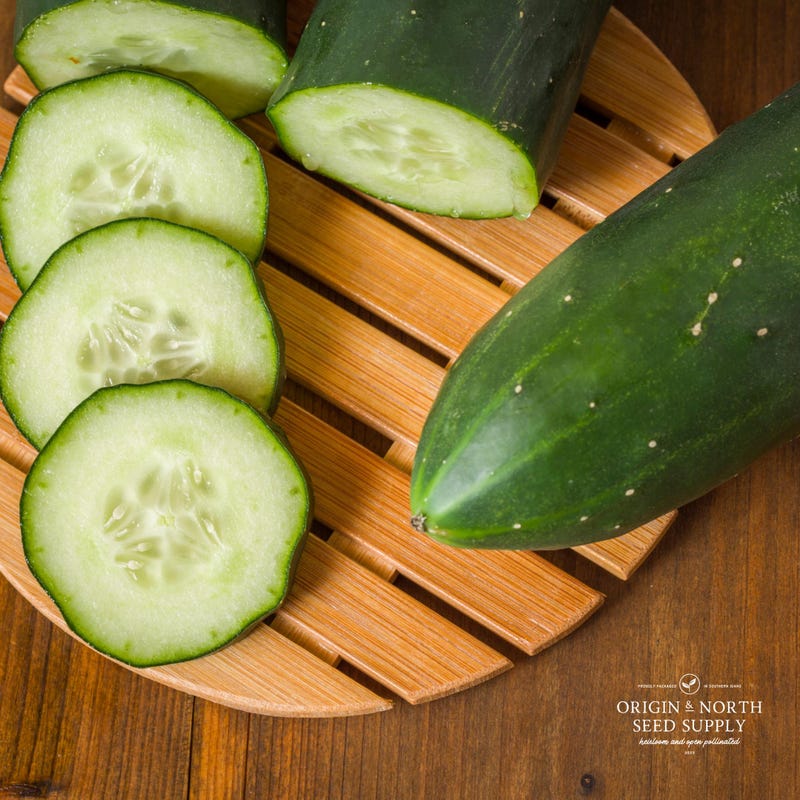 originandnorth - Etsy