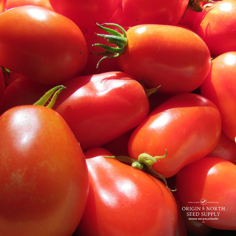 originandnorth - Etsy