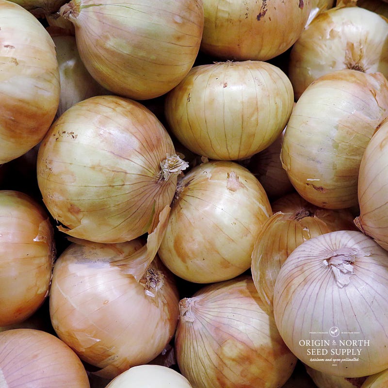 originandnorth - Etsy