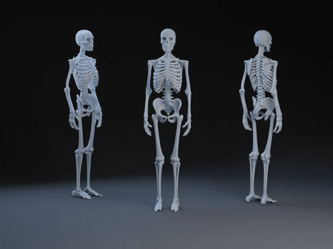 Cool Skeleton Figure Fan Art Stl 3d Printing File - Etsy Canada