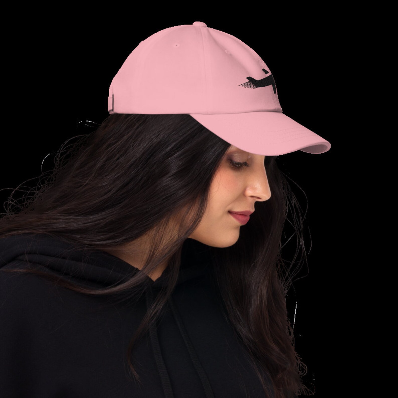 Plane Logo Embroidered Hat for Pilots and Aviation Enthusiasts One-size ...