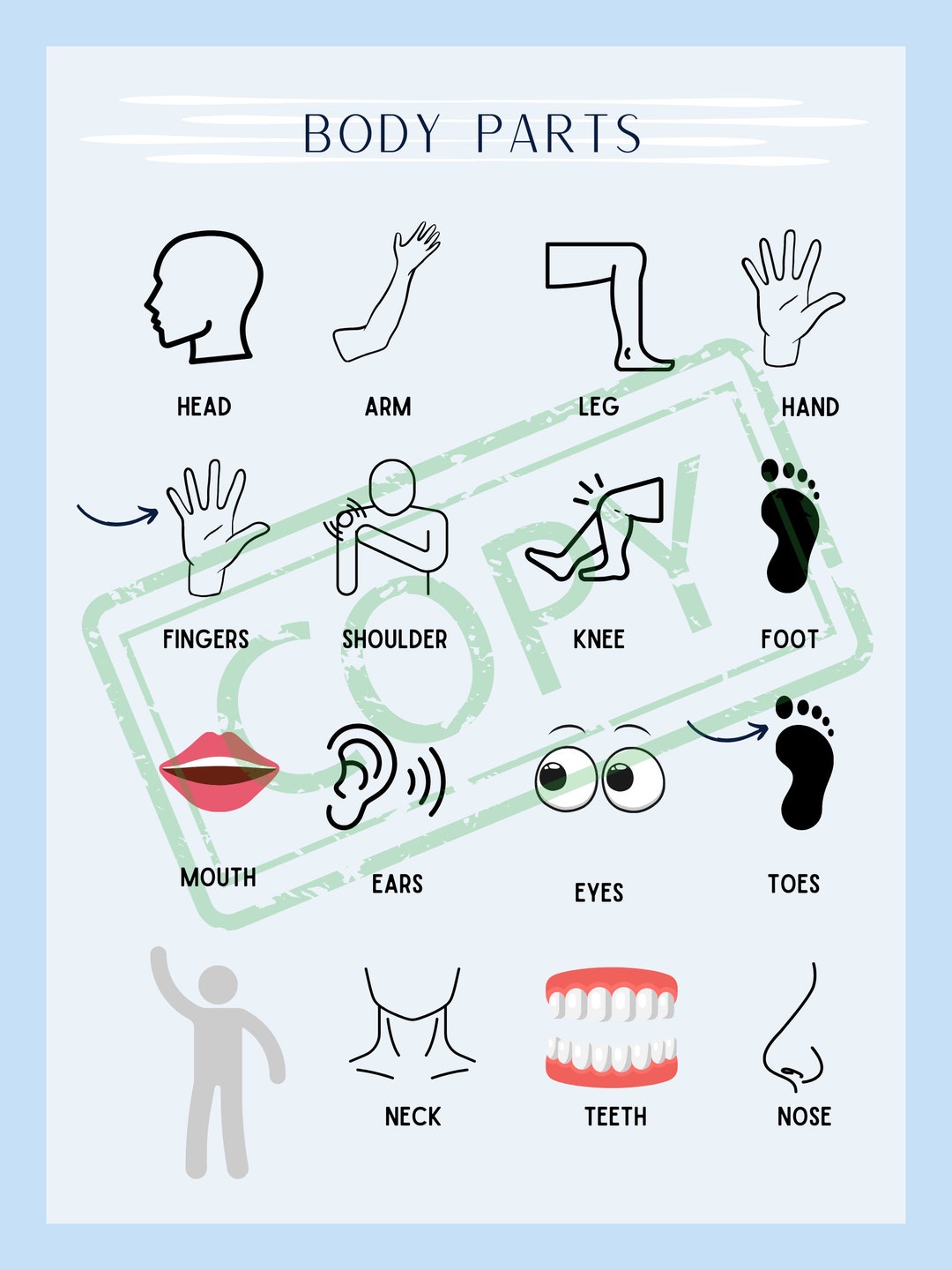 English Body Parts Classroom Poster PDF/PNG - Etsy