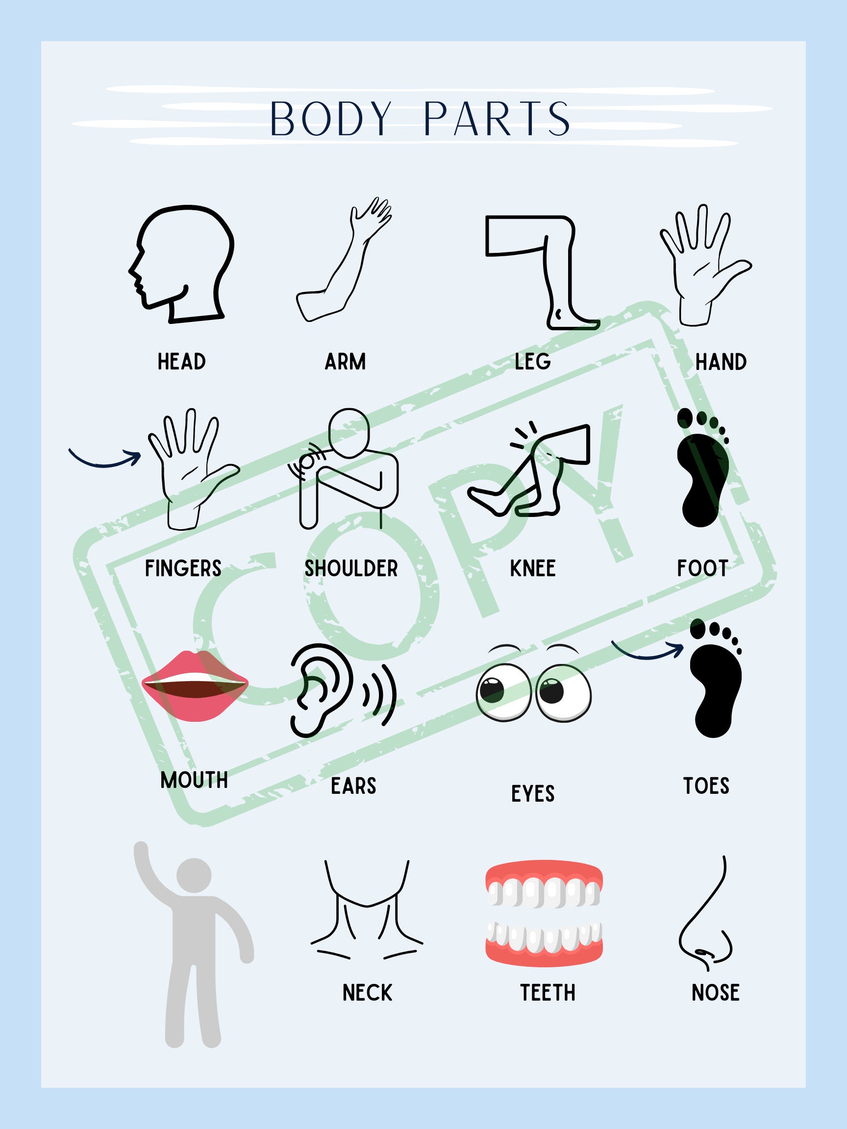 English Body Parts Classroom Poster PDF/PNG - Etsy