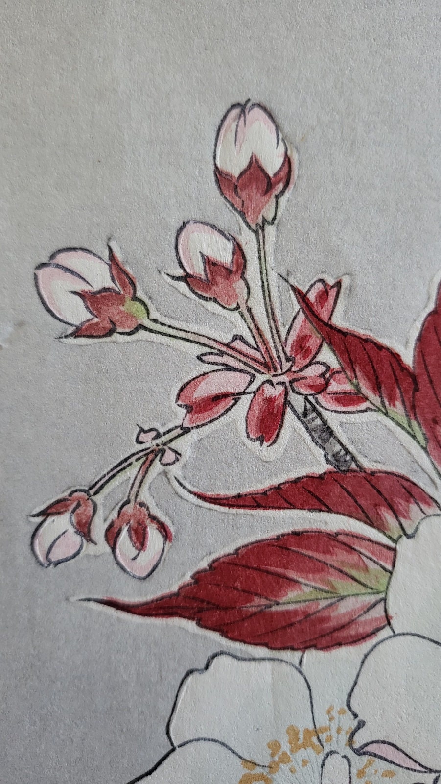 Original Japanese Flowers Art Printer, Vintage Woodblock, Kodo ...