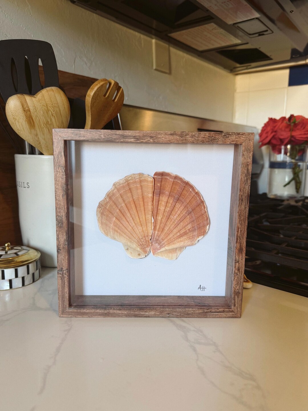 Shadow Box Art Seashell - Etsy