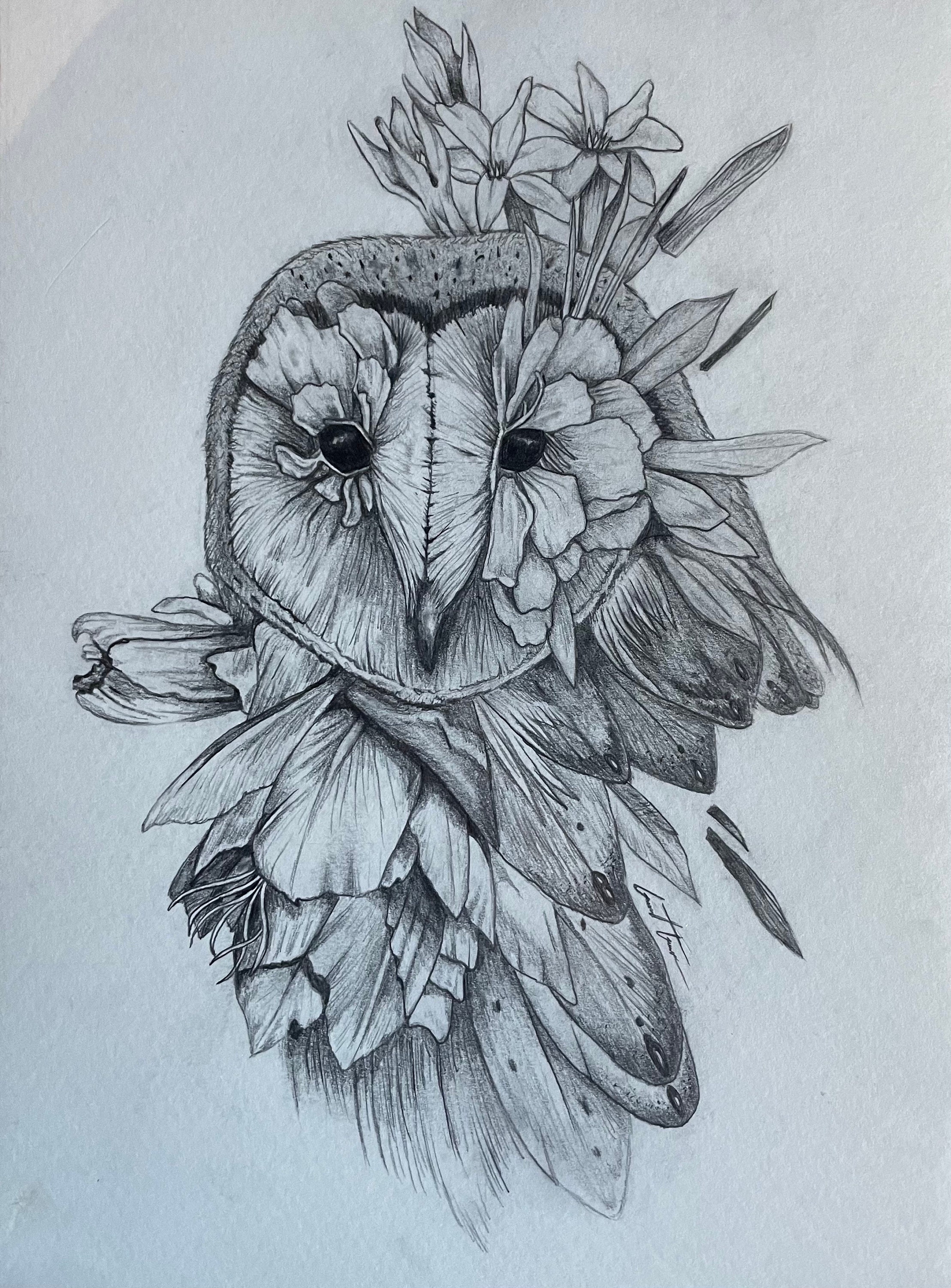 Blossoming Barn Owl Pencil Drawing - Etsy