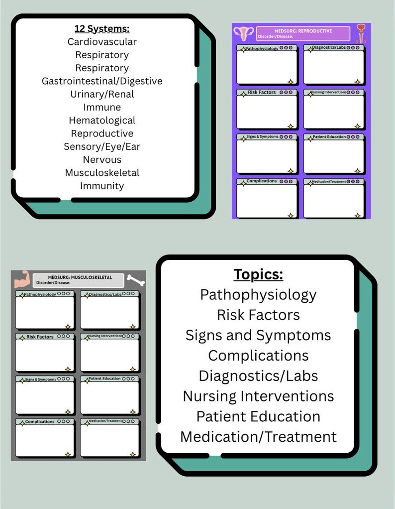 Medsurg Color Coded Study Template & Concept Map - Etsy