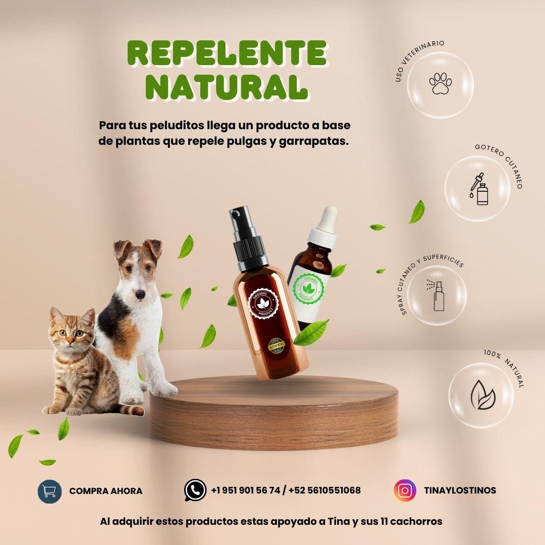 Dropper Flea Repellent for Pets 100% Natural - Etsy