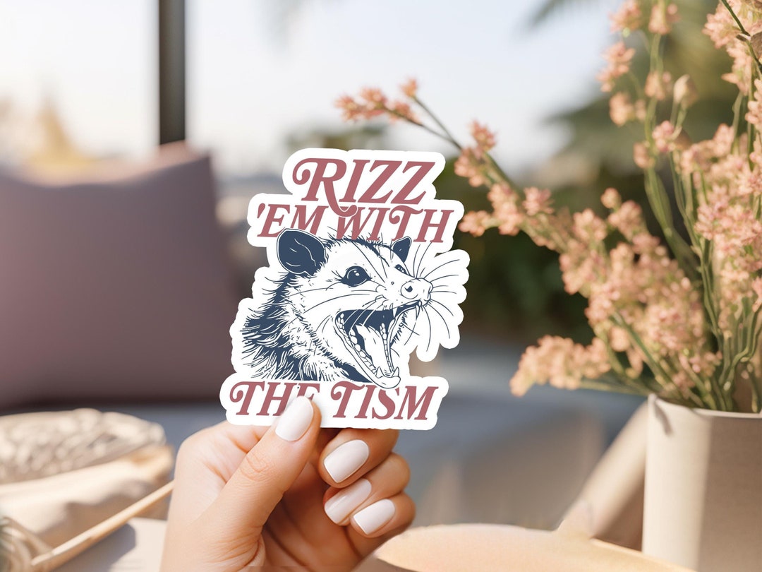 Rizz 'em With the Tism Possum Sticker, Funny Meme Stickers, Angry ...