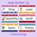 Editable Classroom Desk Name Tags, Student Desk Name Labels, Colorful ...