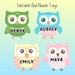 Owl Classroom Name Tags, Owl Student Desk Labels, Cute Locker Labels ...