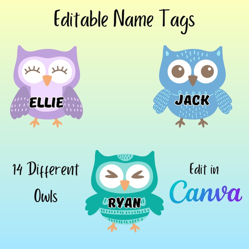 Owl Classroom Name Tags, Owl Student Desk Labels, Cute Locker Labels ...