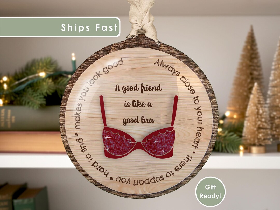 Funny Best Friend Christmas Ornament, Good Friend is Like a Bra Quote ...