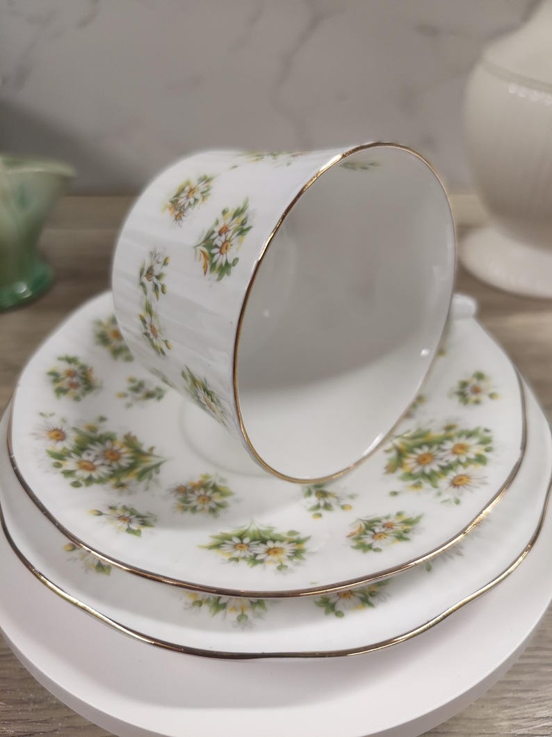 Vintage Royal Heritage Fine Bone China Tea Cup Trio, Floral Daisy ...