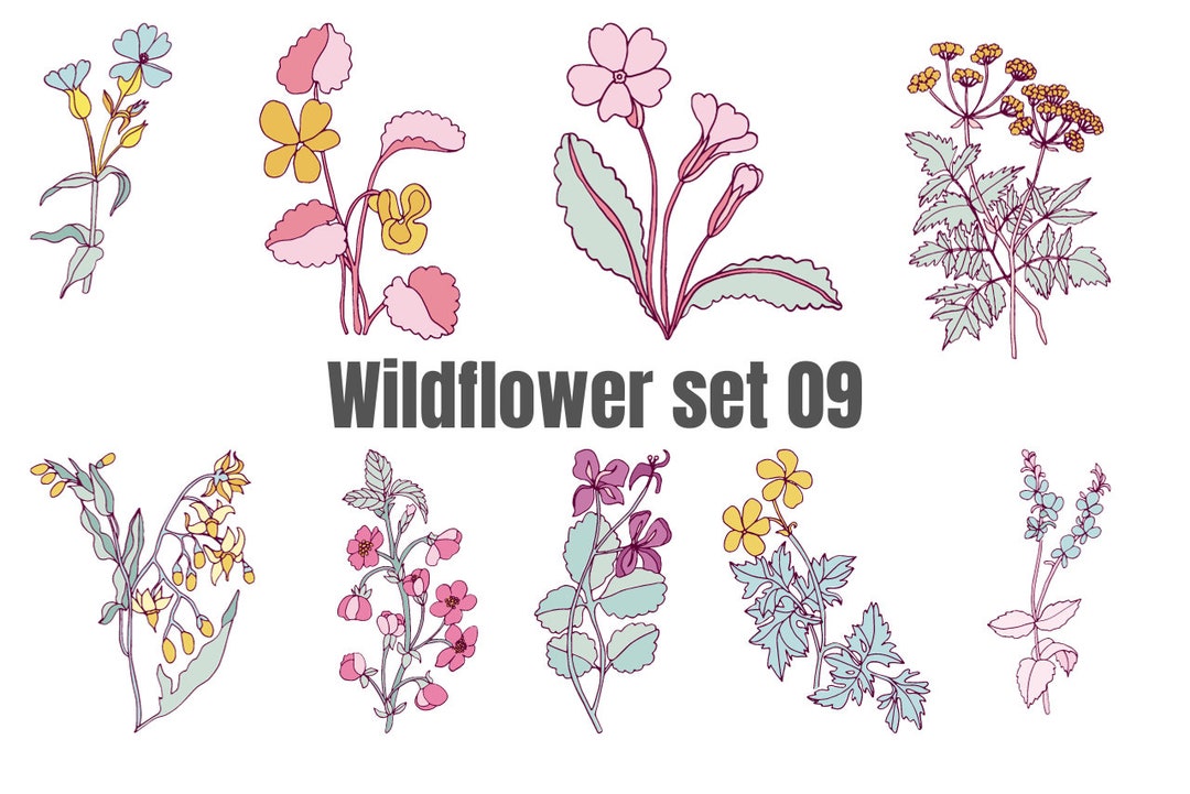 Bouquet Svg Bundle Flowers Svg Png Hand Drawn Floral Svg - Etsy
