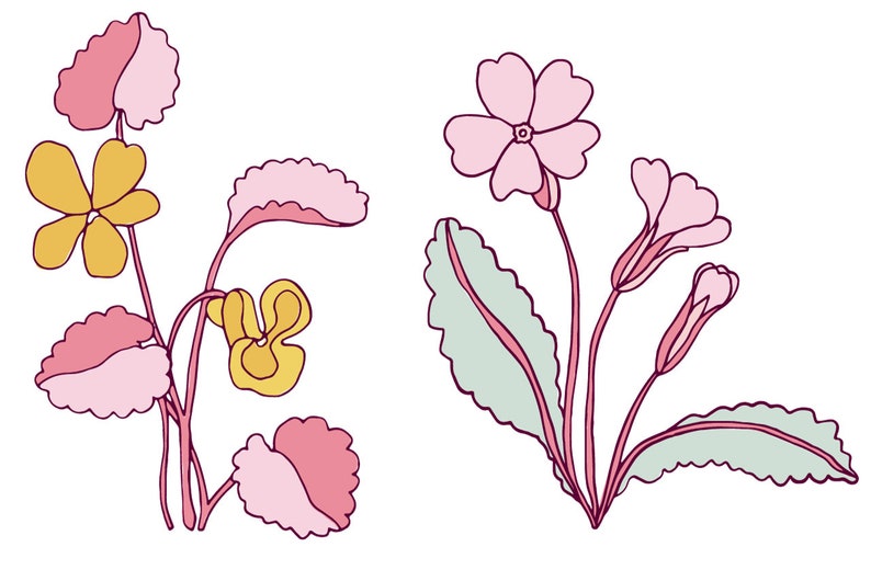Bouquet Svg Bundle Flowers Svg Png Hand Drawn Floral Svg - Etsy