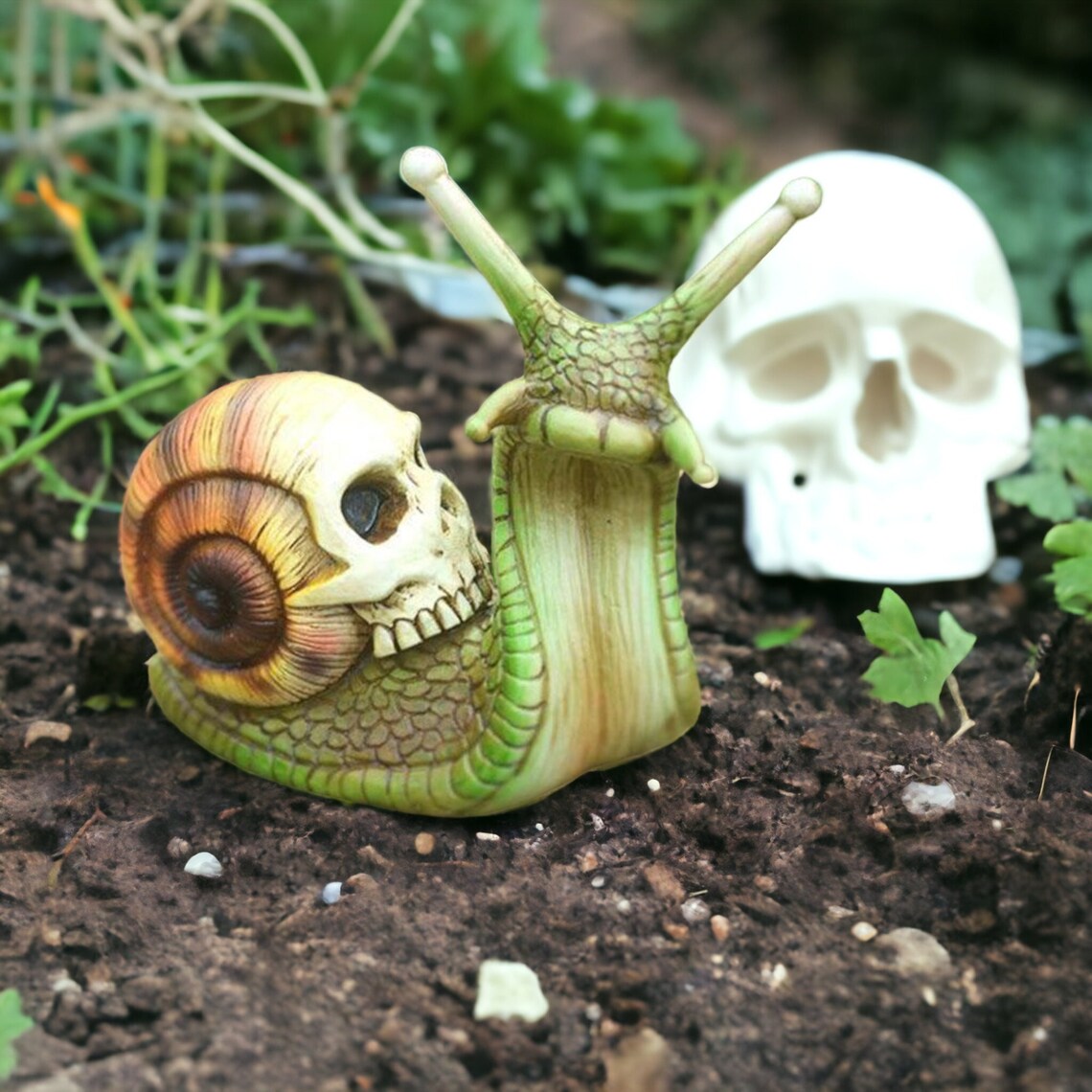 Snail Skull Statue, Garden Snail, Halloween Decoration, Skull, Outdoor ...