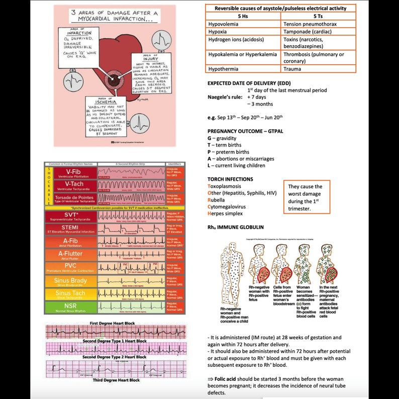 Nclex Cheat Sheet the 11 Pdf Cheatsheet for Nclex E - Etsy