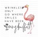 Jimmy Buffett Flamingo SVG PNG: Tropical Digital Download - Etsy