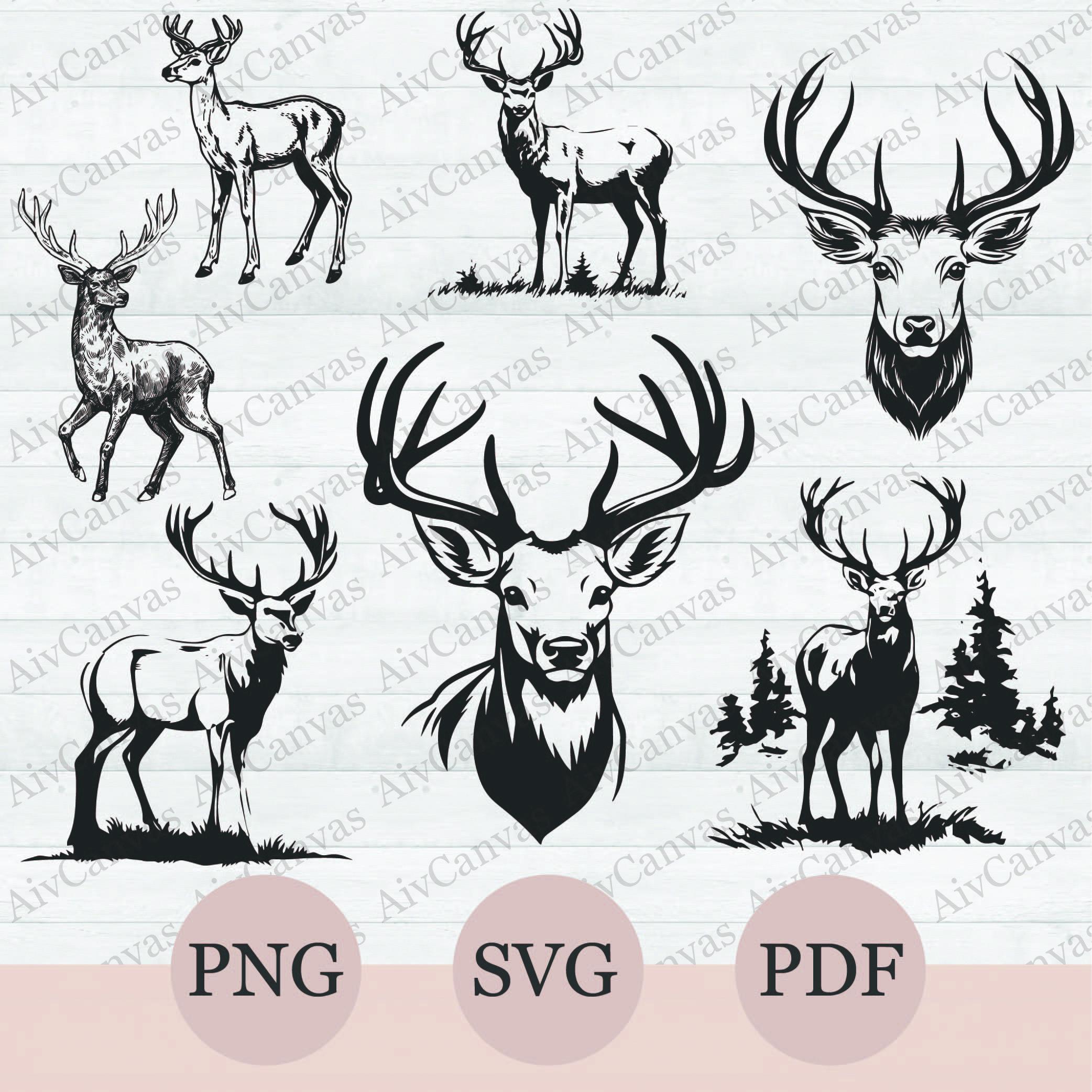 White Tail Deer SVG PNG Bundle, Deer Head Rack Svg, Deer Antler Digital ...