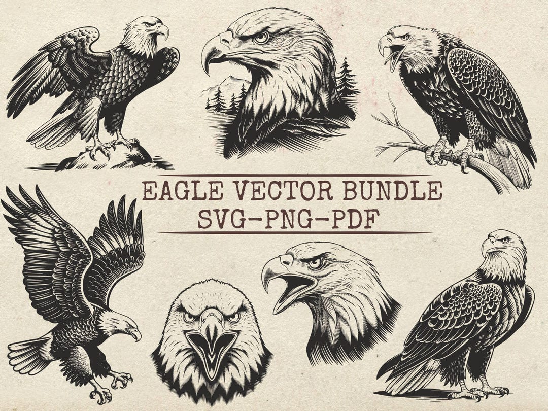 Bald Eagle Vector SVG Bundle, 15 Eagle Clipart Illustration, Bald Eagle ...