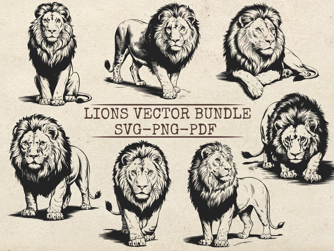 Lion Vector SVG Bundle, 15 Lion Clipart Illustration, Lion Png, Lion ...